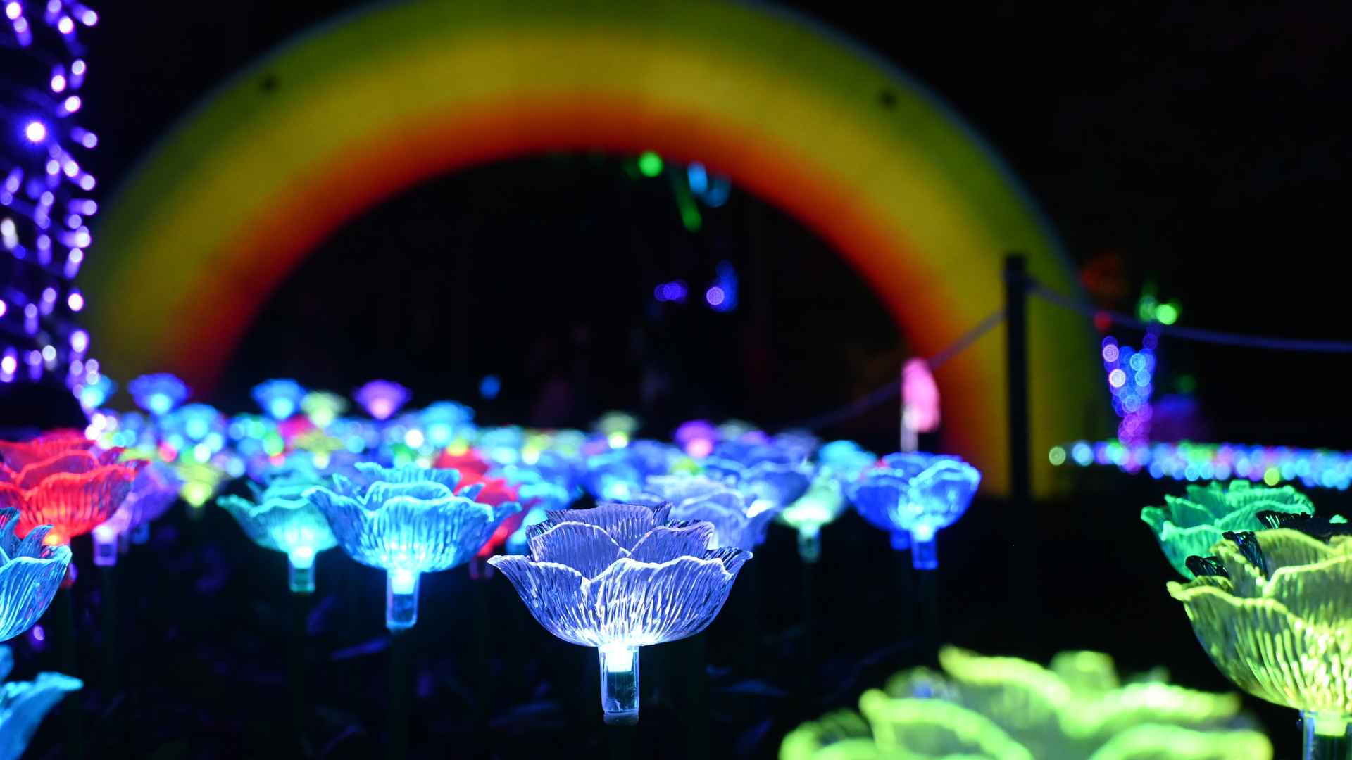 Festival Brilla Sueños: el plan navideño imperdible en Bogotá 2025